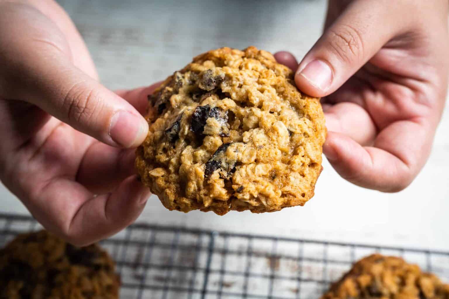 Old-Fashioned Oatmeal Cookies with Chocolate Chips and Prunes ...