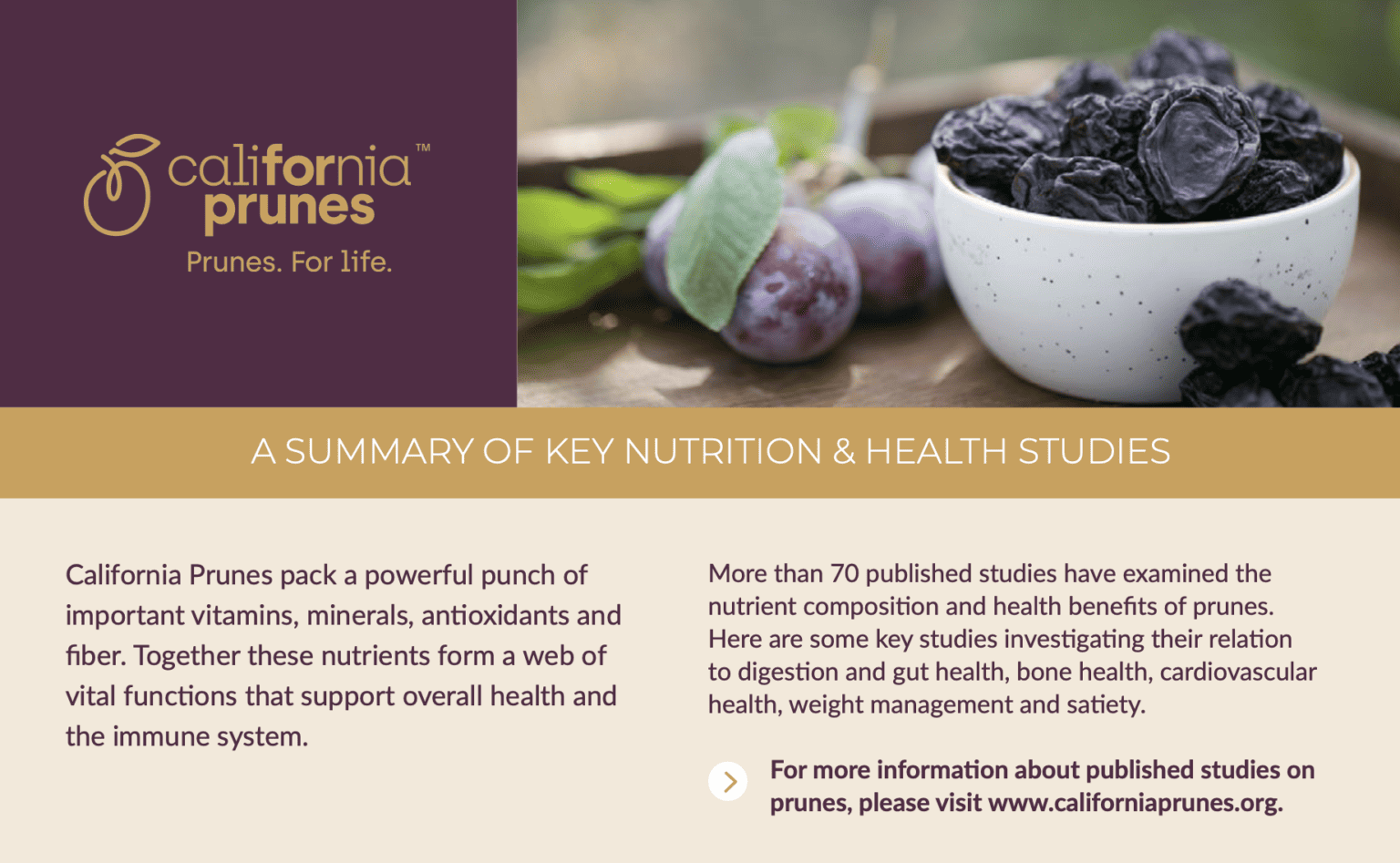 Resources for Health Professionals - California Prunes